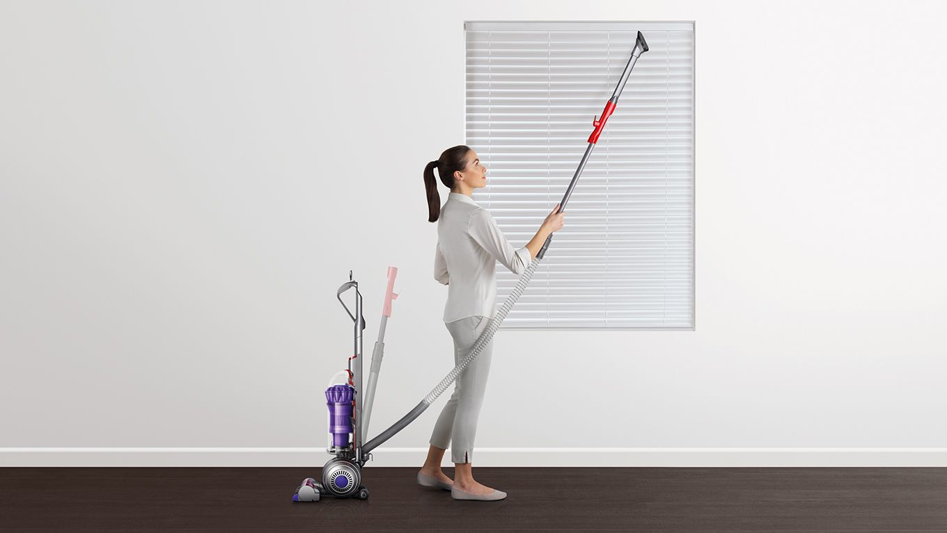 Dyson small ball animal 2 store
